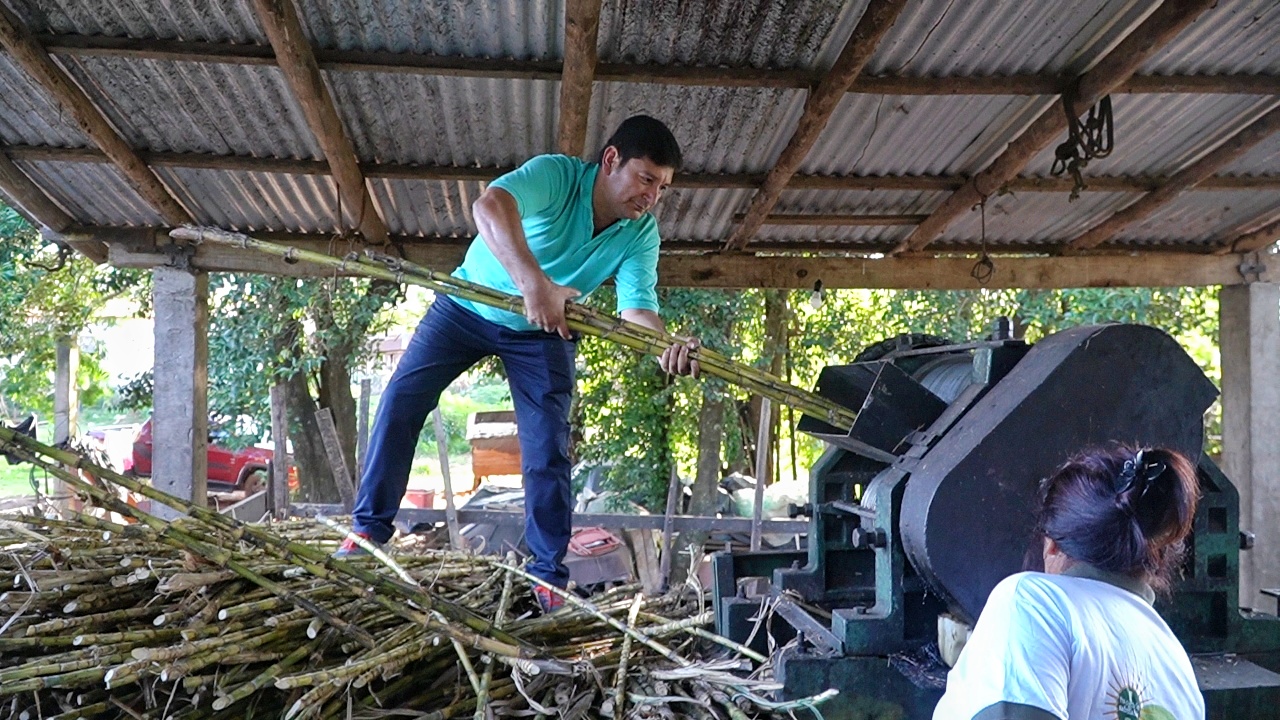 Crearon ley para mejorar procesos de producción de azúcar rubio ...